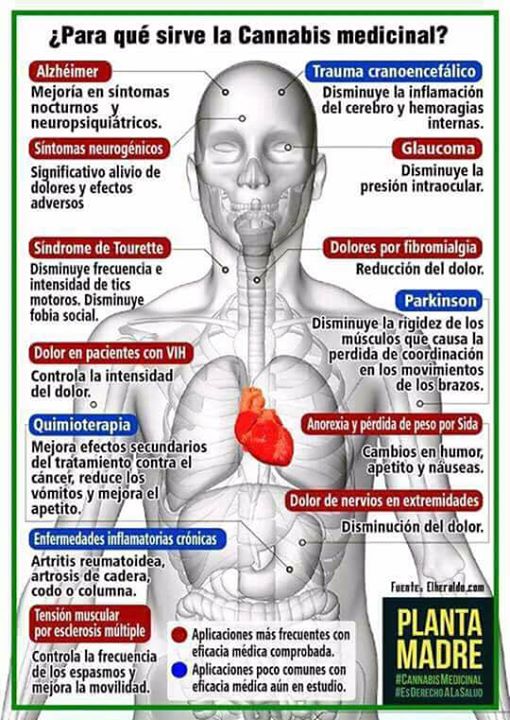 Juanma Marihuana Medicinal: USOS MARIHUANA MEDICINAL