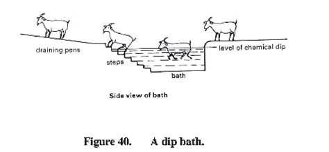 DIPPING of Animals at Farm Level ~ Vets Solution