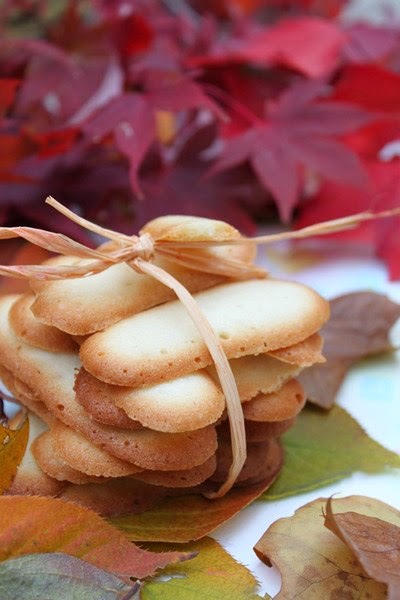 [Vietnamese Dessert] Cat Tongue Cookie - All Asian Recipes For You