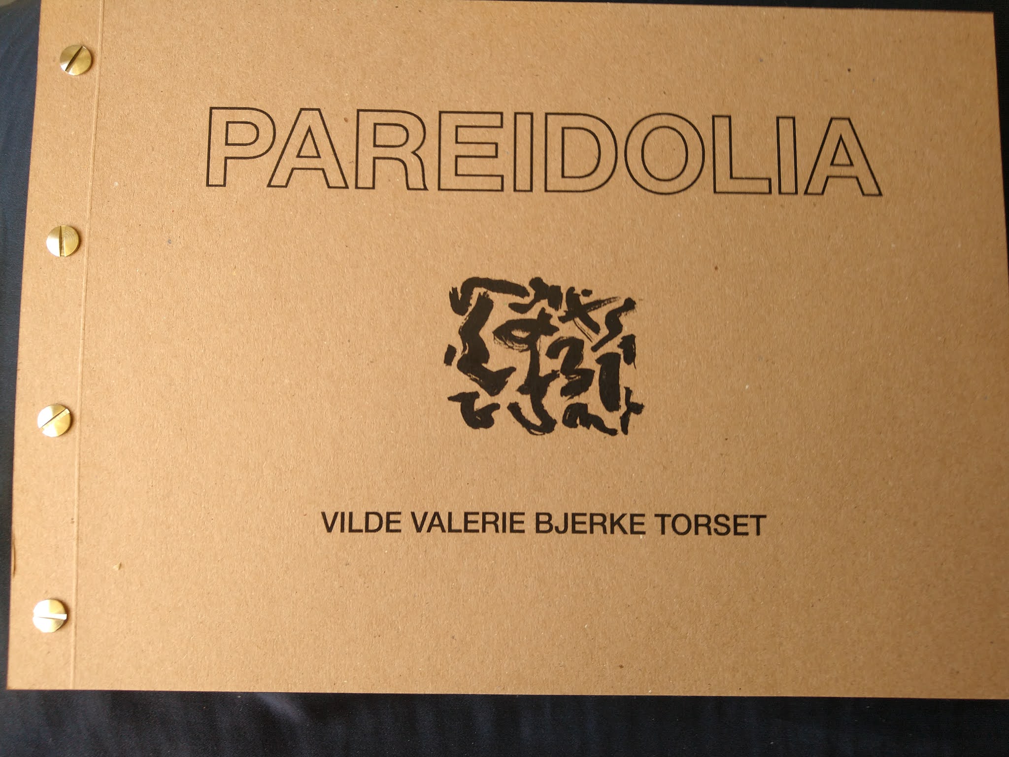 The New Post-literate: A Gallery Of Asemic Writing: Pareidolia by Vilde ...