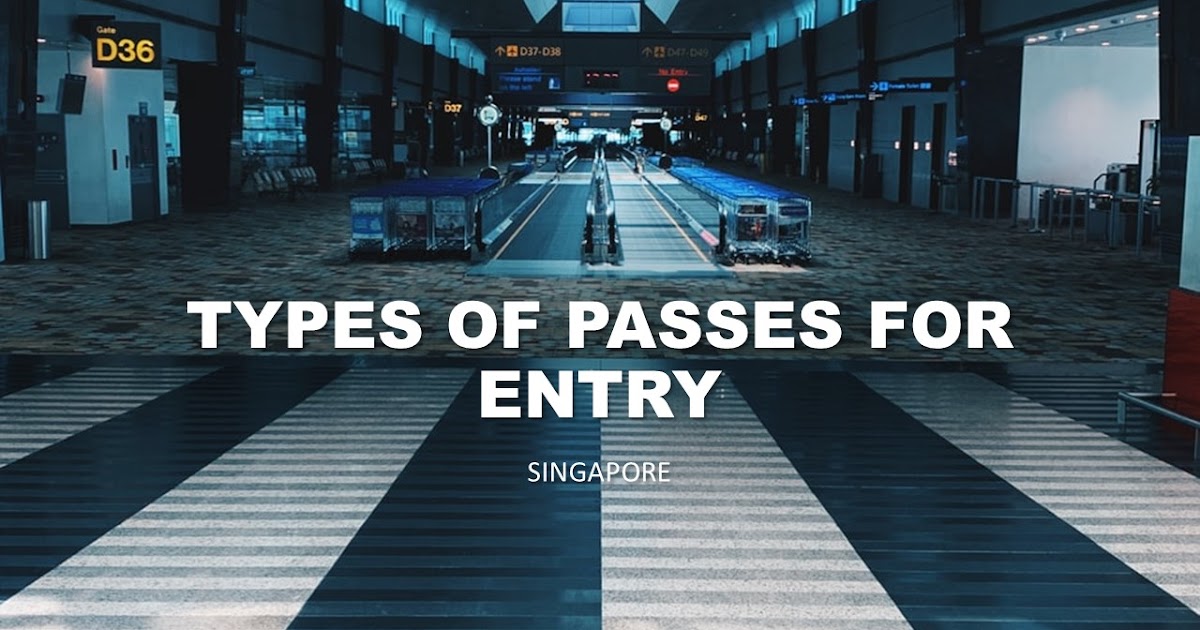 Types of Passes for entry to Singapore : Explained - TheWackyDuo.com ...