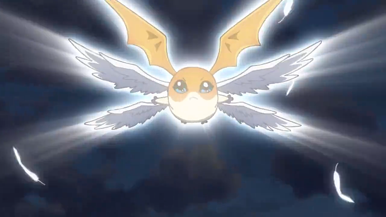 Digi-Arquivo: Patamon ~ PMD || Acervo de Imagens de Digimon e Pokémon ...