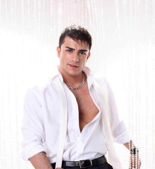 Sunday's Star (XVIV): Harry Louis ~ Hunklopedia