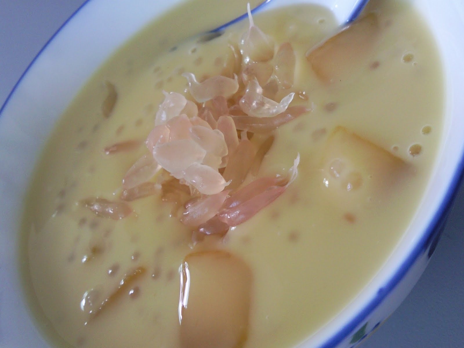 Fun Living: Chinese Sago Desserts