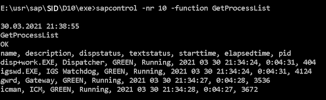 Additional Application Server Installation in SAP - SAP Basis Genie