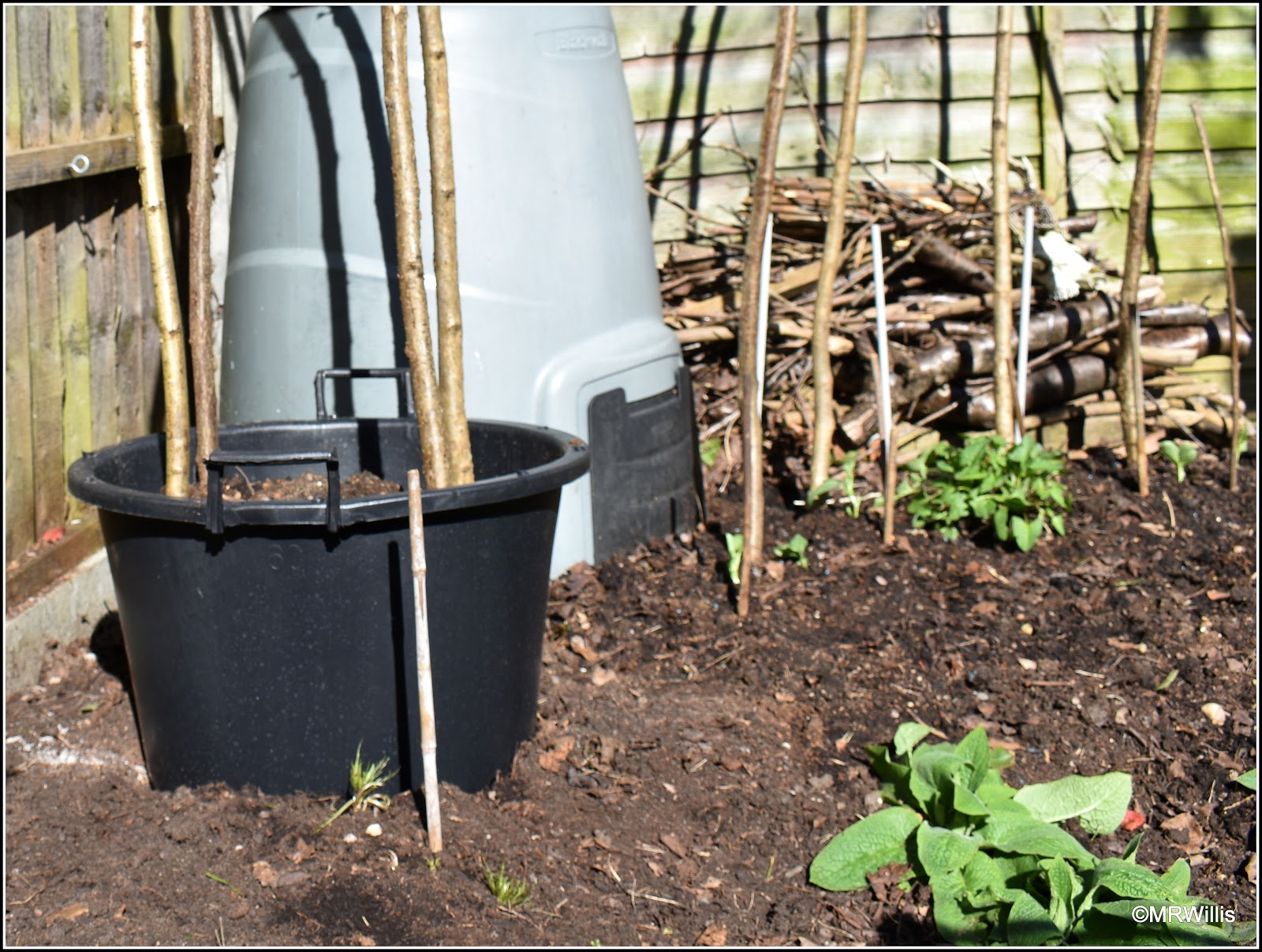 Mark's Veg Plot: Pots and poles