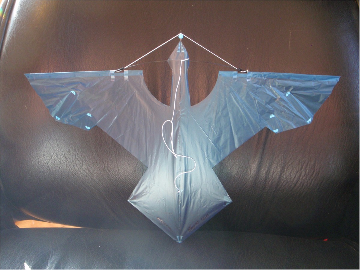 Group 070-07: The Batman Kite: Weekly Progress