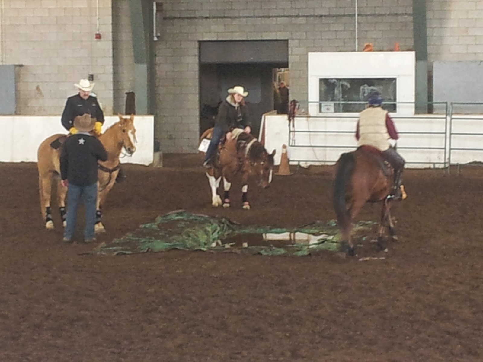 Foundation Reining Training Centre: Cold Cowboy: Craig Cameron Clinic ...
