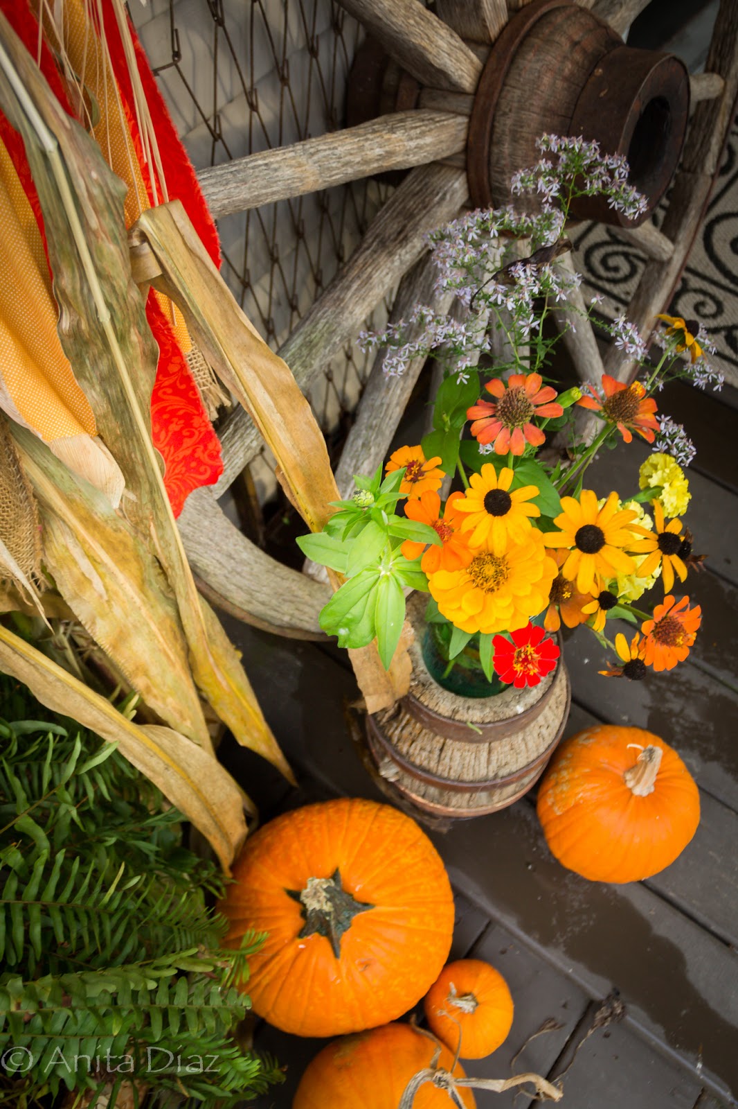 Mountain farmhouse fall steps - Whispering Pines Homestead