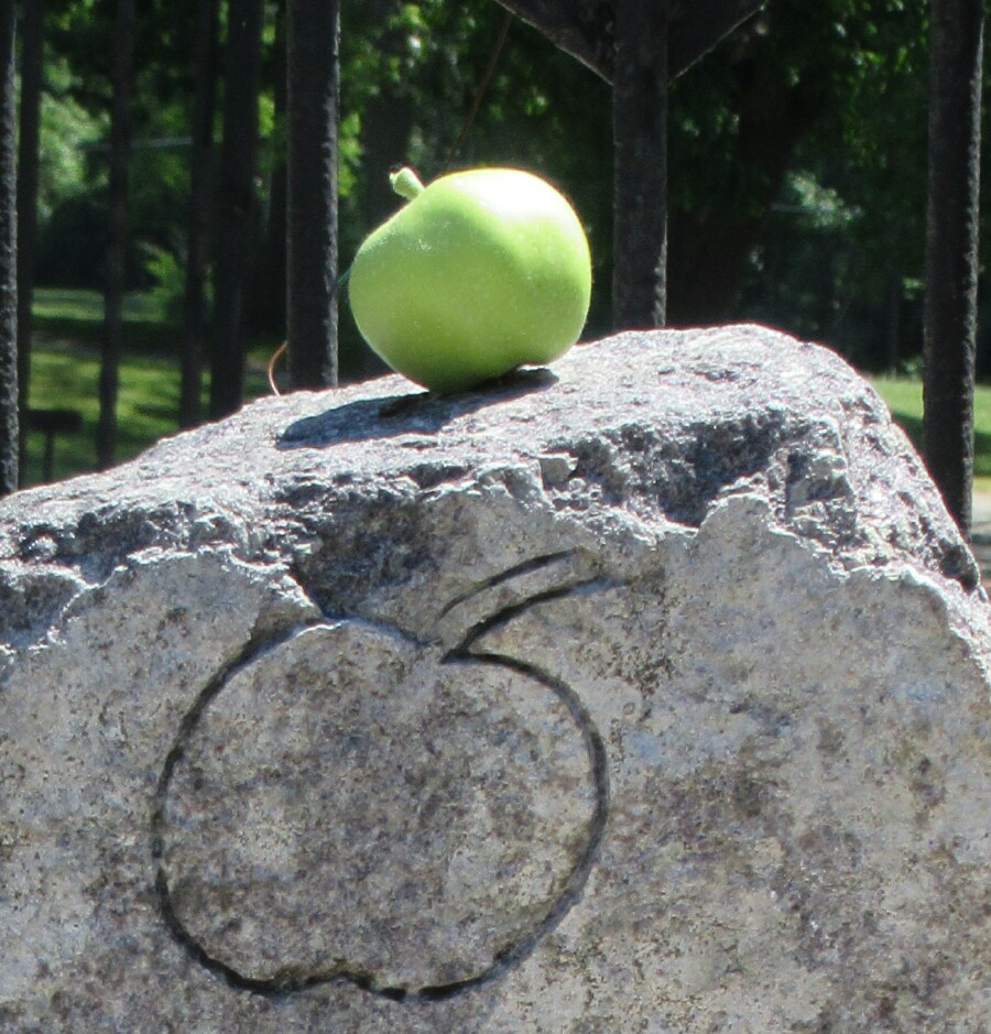 Bird's Yellow House: John Chapman aka "Johnny Appleseed"
