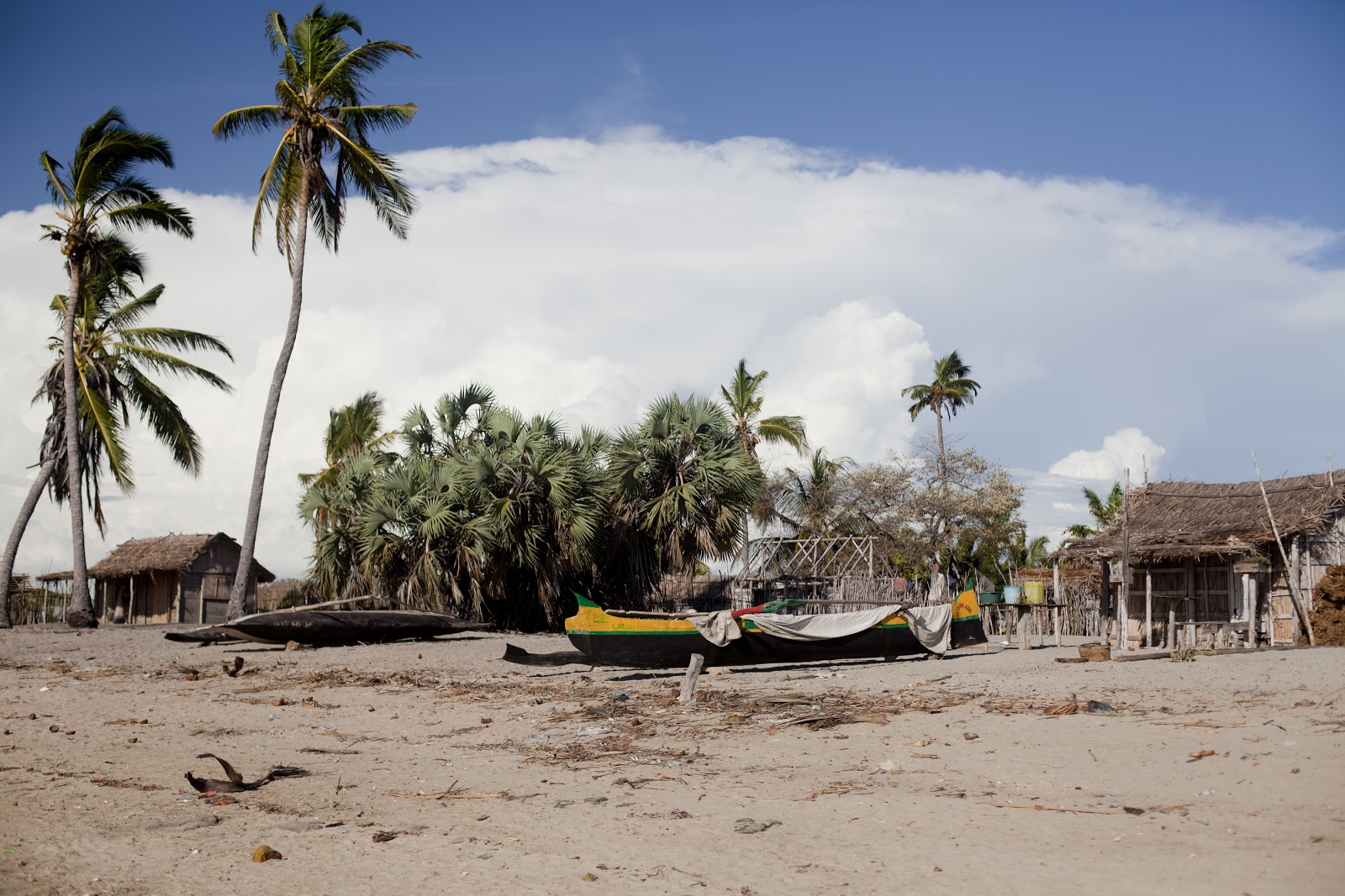 Portraits of the Planet: Madagascar: Belo sur Mer and Kirindy Metea ...