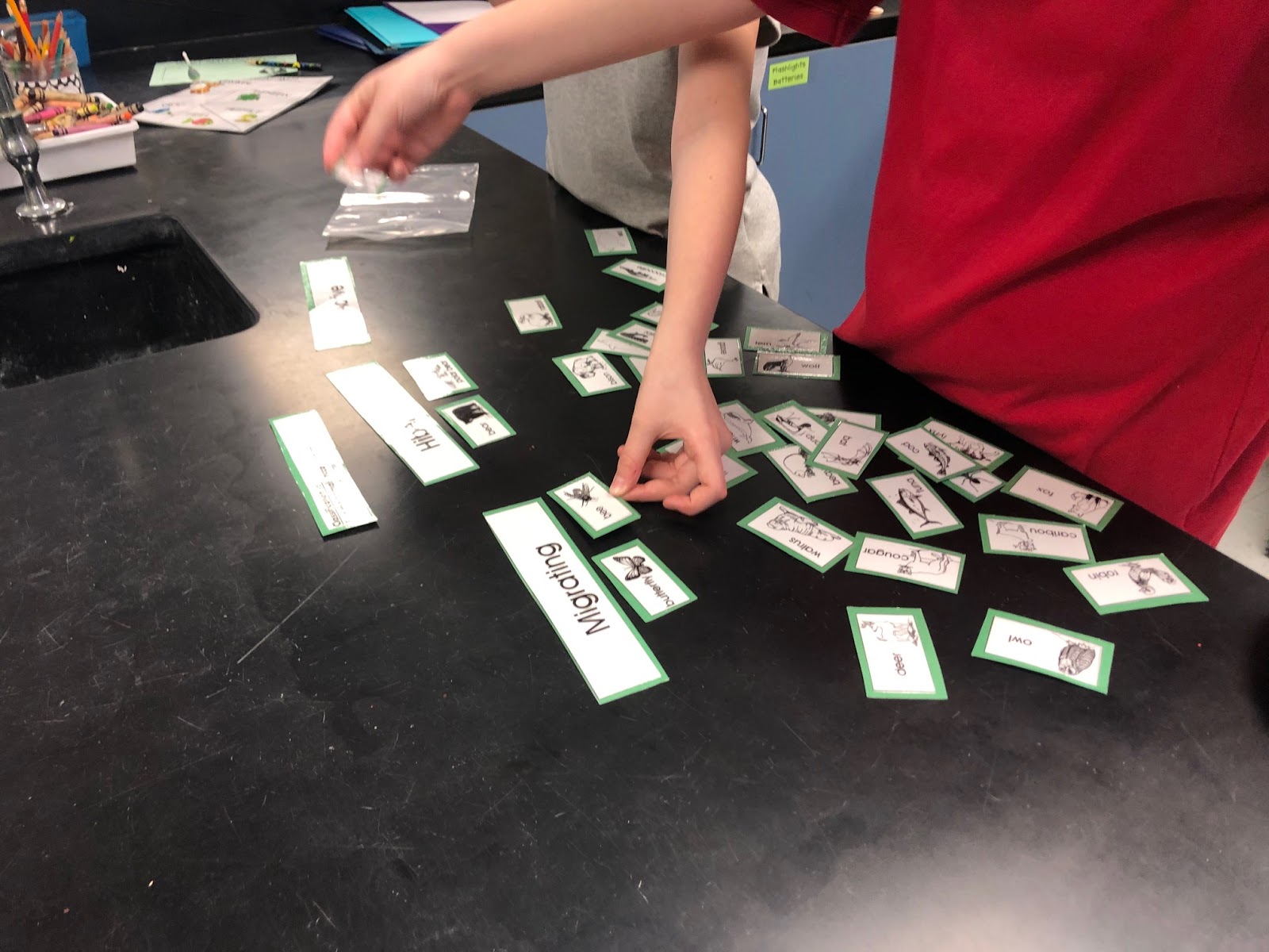 FPD Elementary Science Lab: 5th Grade Animal Classification