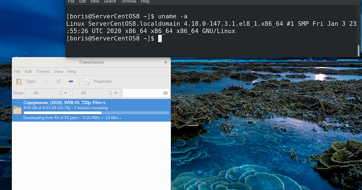 Openstack RDO && KVM Hypervisor: Install transmission on CentOS 8.1
