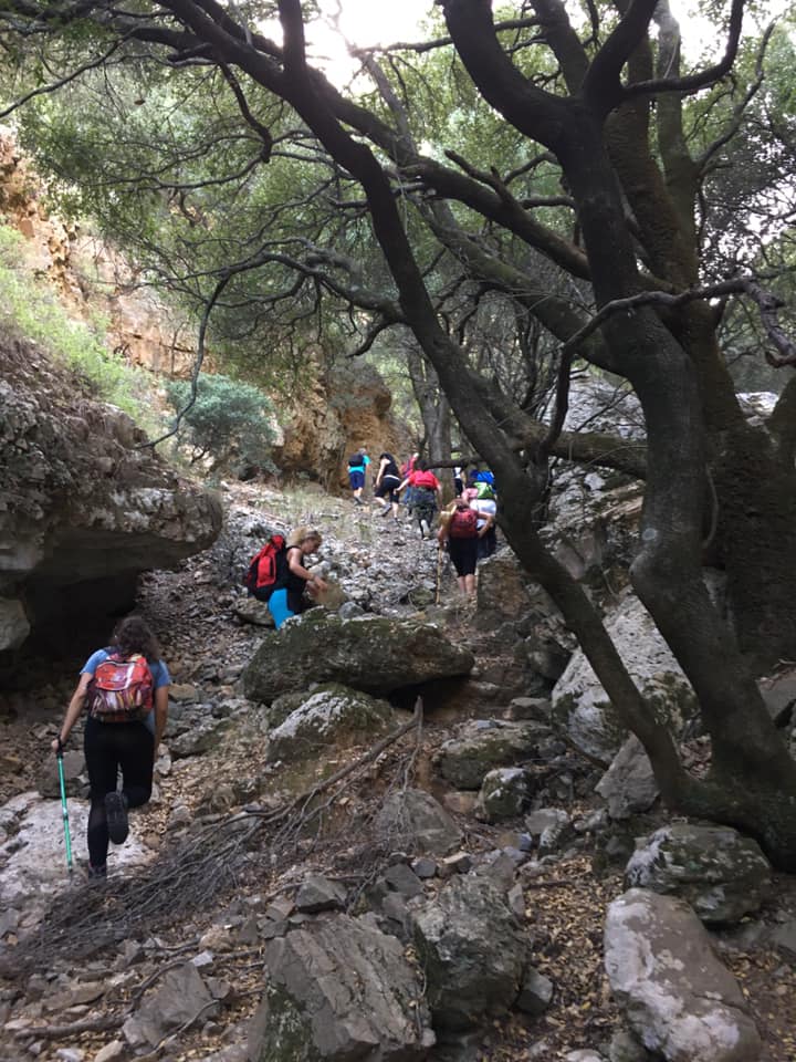 ΟΡΕΙΒΑΤΙΚΟΣ ΣΥΛΛΟΓΟΣ ΑΓΙΟΥ ΝΙΚΟΛΑΟΥ: ΦΑΡΑΓΓΙ ΤΣΙΓΚΟΥΝΗ - ΟΡΟΠΕΔΙΟ ...