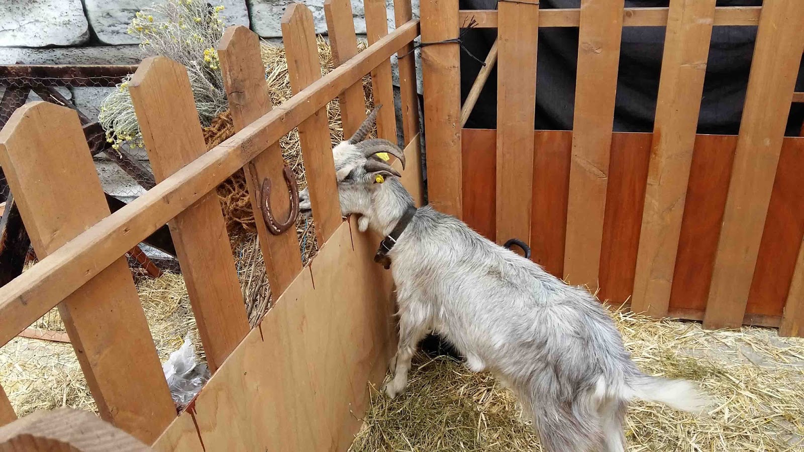 This is Alicante Life