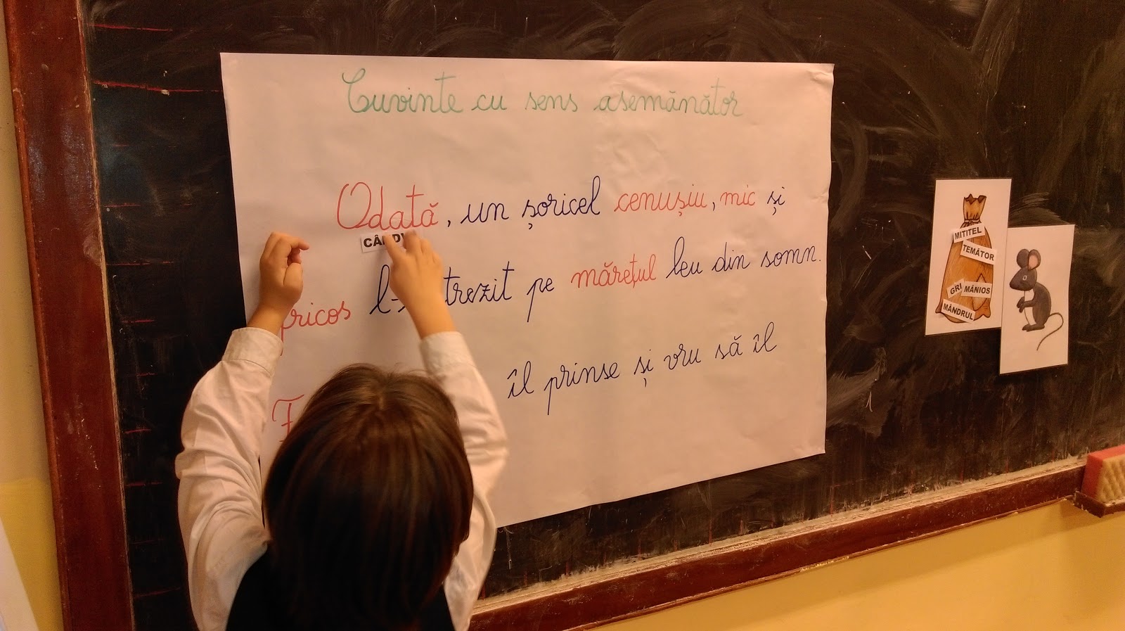 CLASA MEA: Limba romana