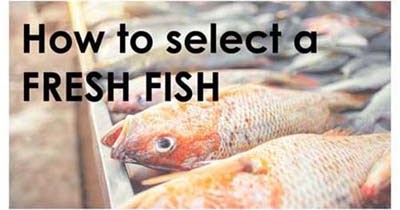 How to buy Fresh Fish -10 Tips to consider before selecting one | Get ...