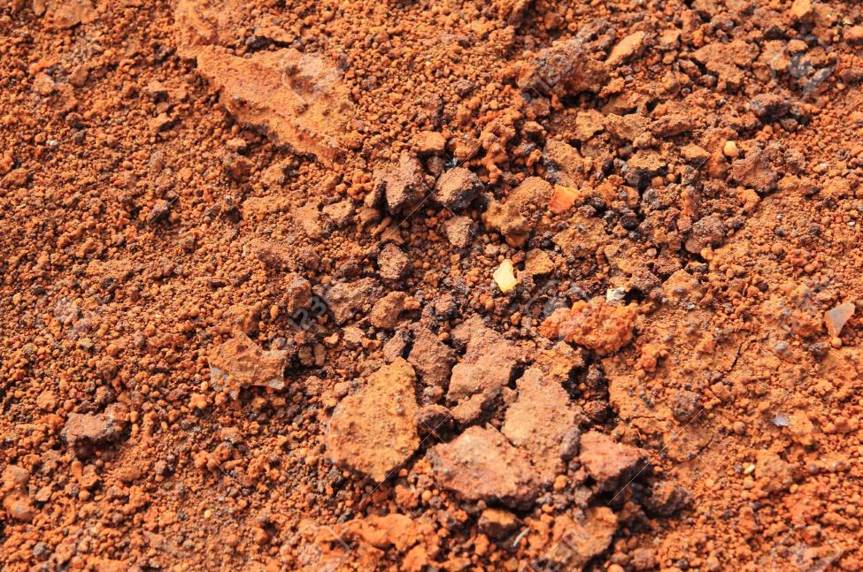 20 Jenis Tanah di Indonesia dan Gambarnya Lengkap!