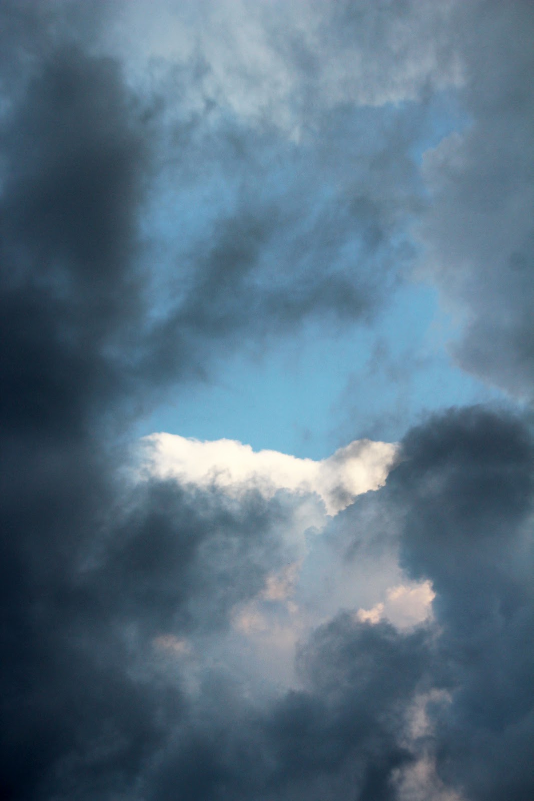 20+ Royalty Free Images | 20+ Free Images Download | 20+ Free Images No ...