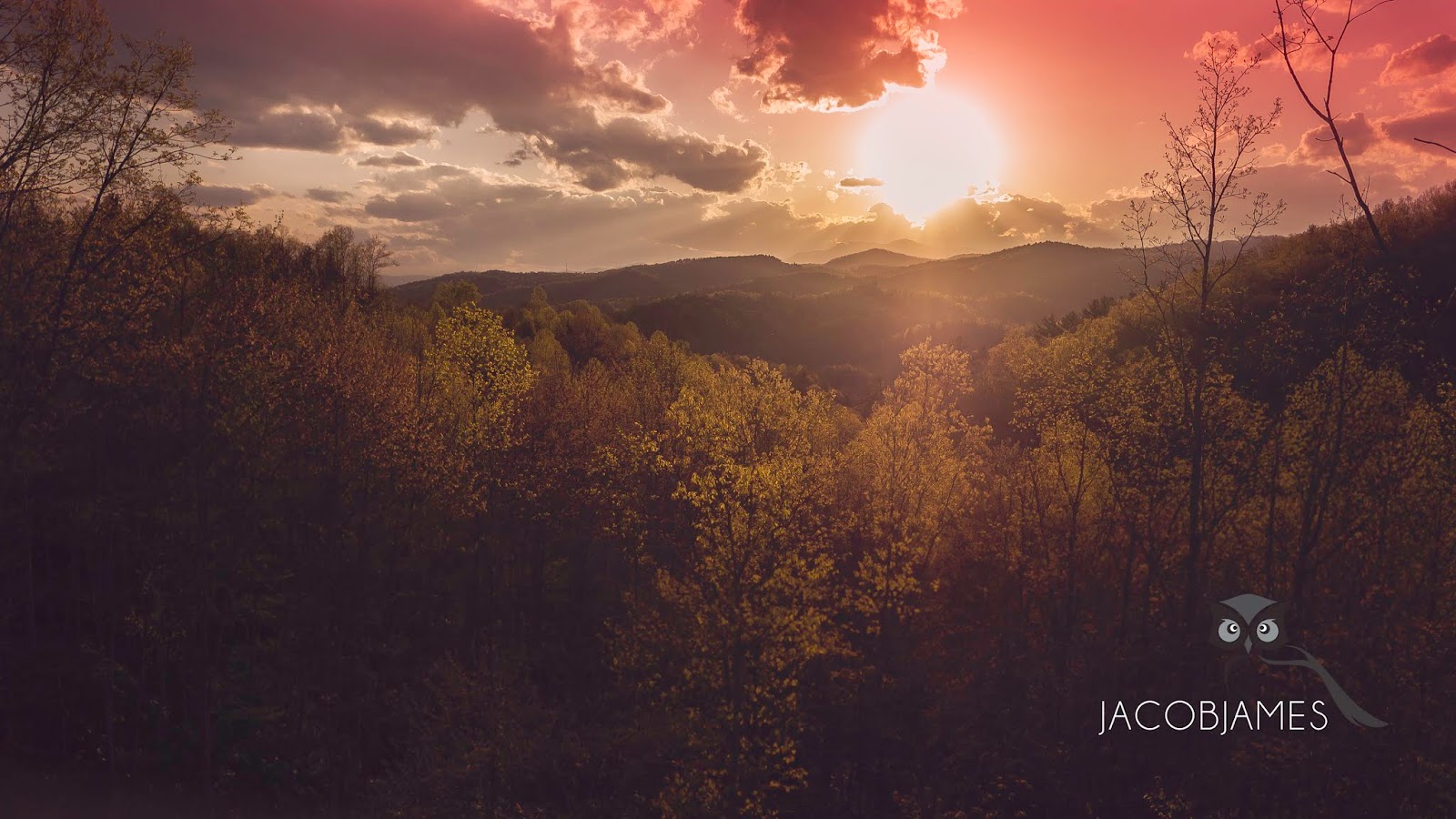 Jacob Calverley - Storyteller