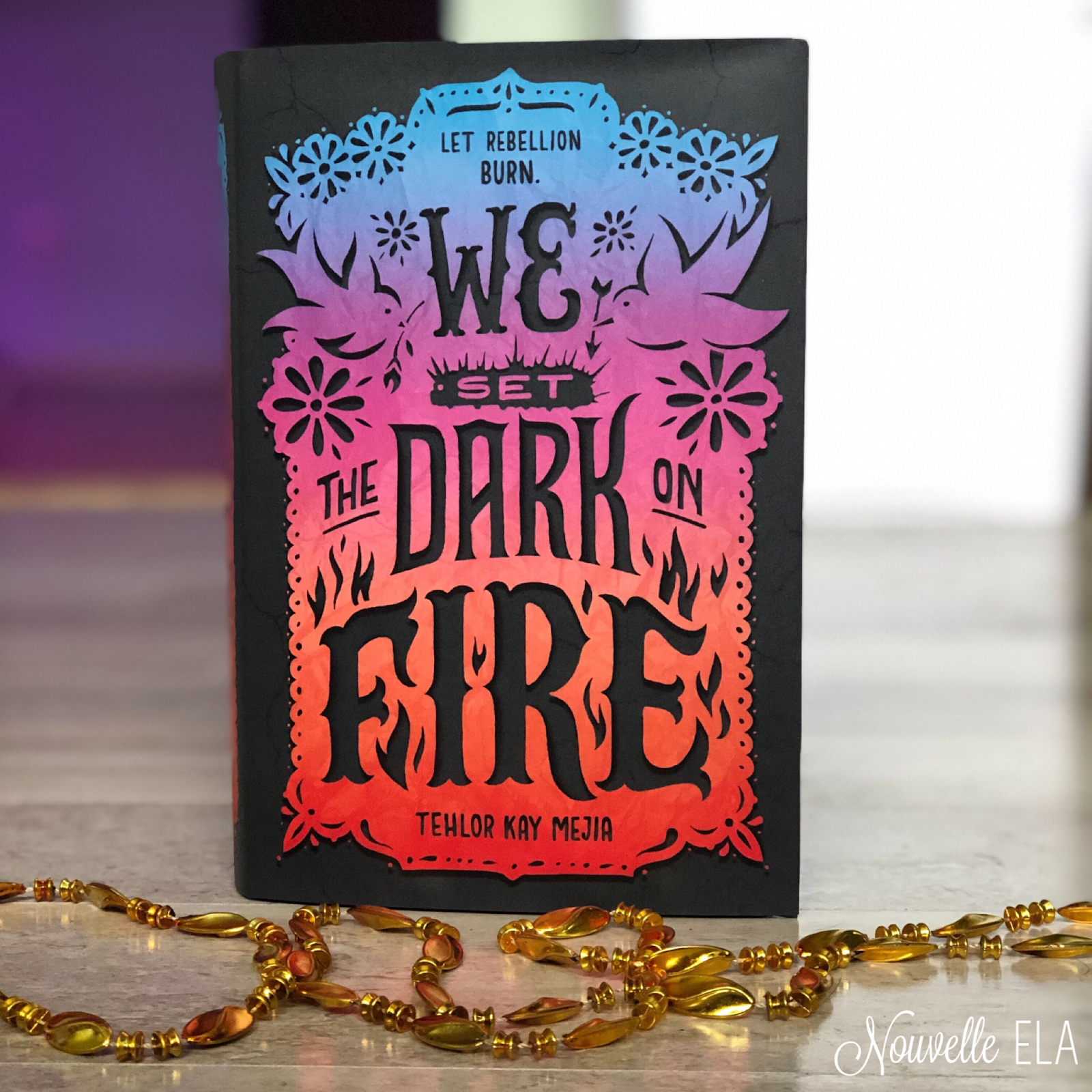 15 YA Books that Celebrate Diversity | SECONDARY SARA