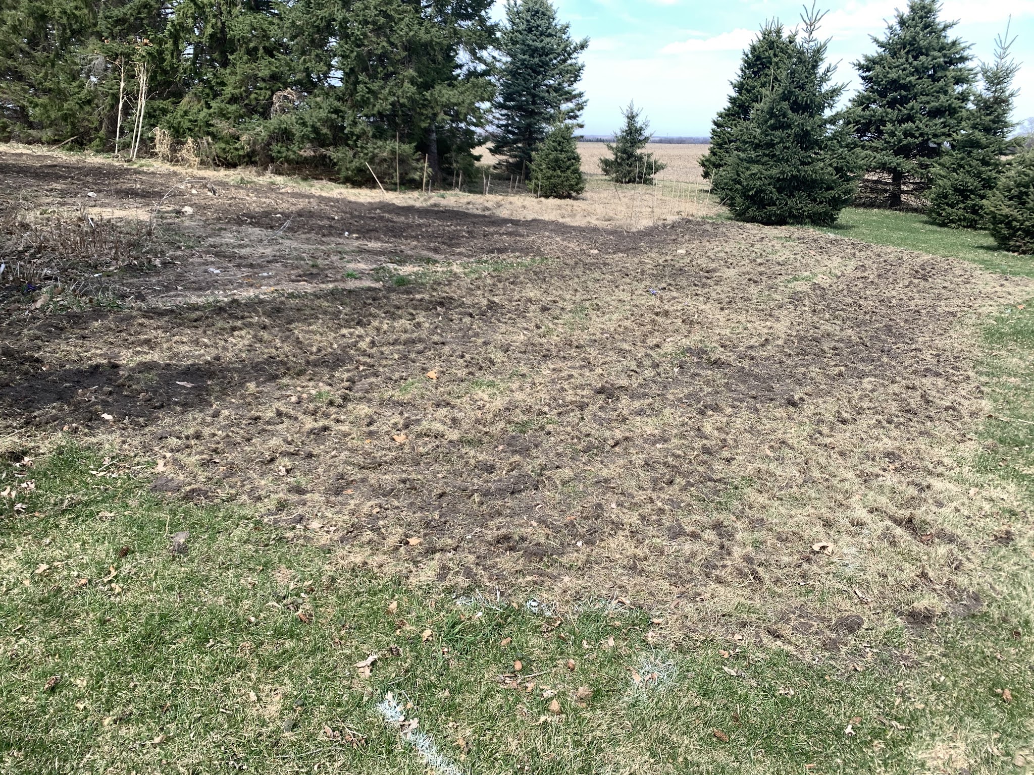 "What veggies can I plant in April in Minnesota?"