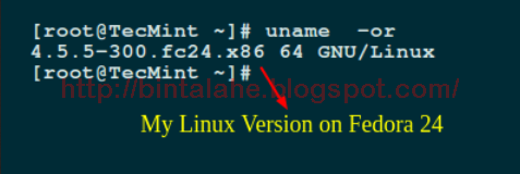Apa itu Kernel di Linux dan Bagaimana Anda Memeriksa Versi Kernel ...