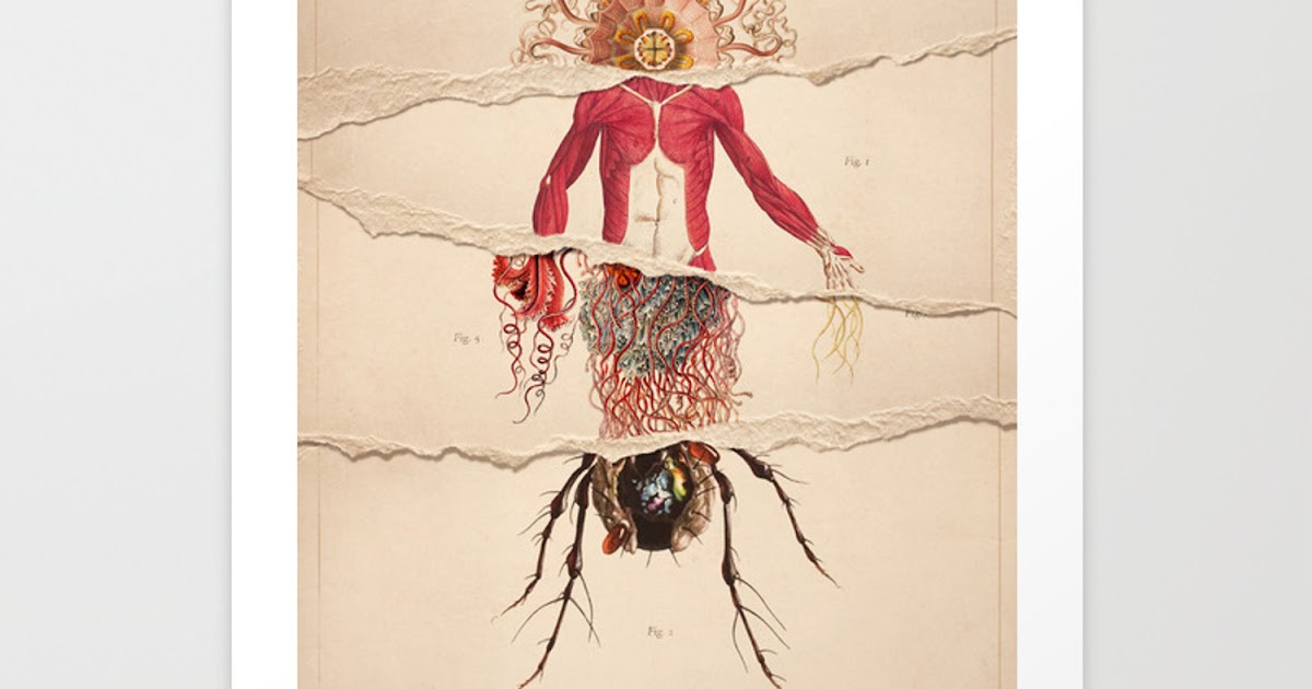 Dave's Movie Site: Classic Movie Review: The Thing (1982)