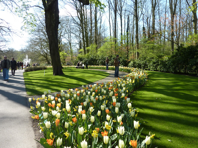 Snodge's subjective travel blog: Day 18 - Aalsmeer Flower Auctions ...