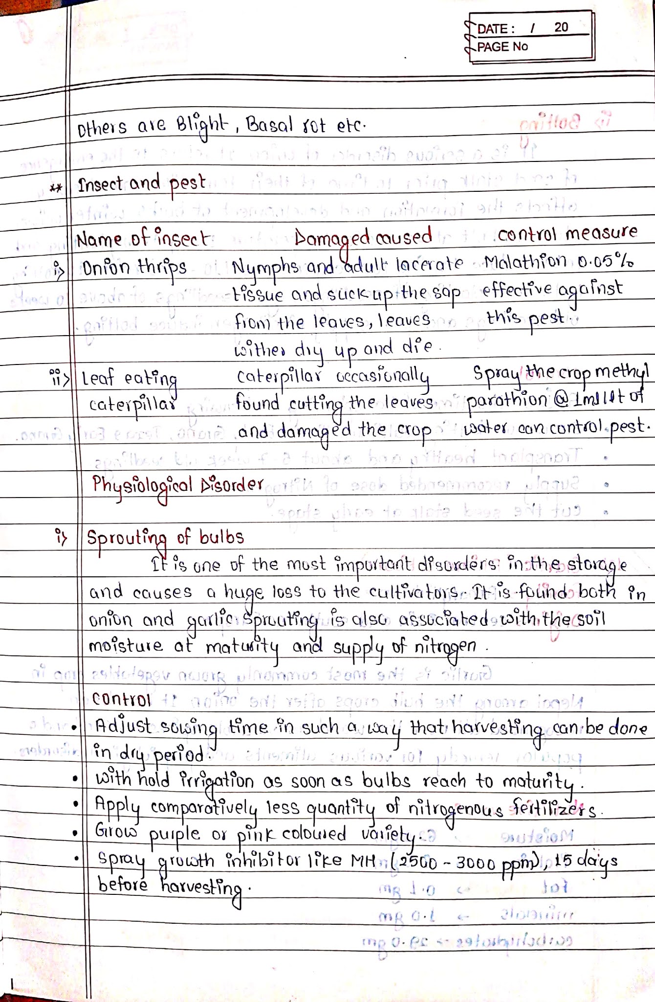Vegetable Production Note: PDF download link inside ~ A2Z AgriNotes