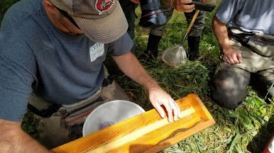 PA Environment Digest Blog: Eels And Mussels - An Unlikely Pair ...