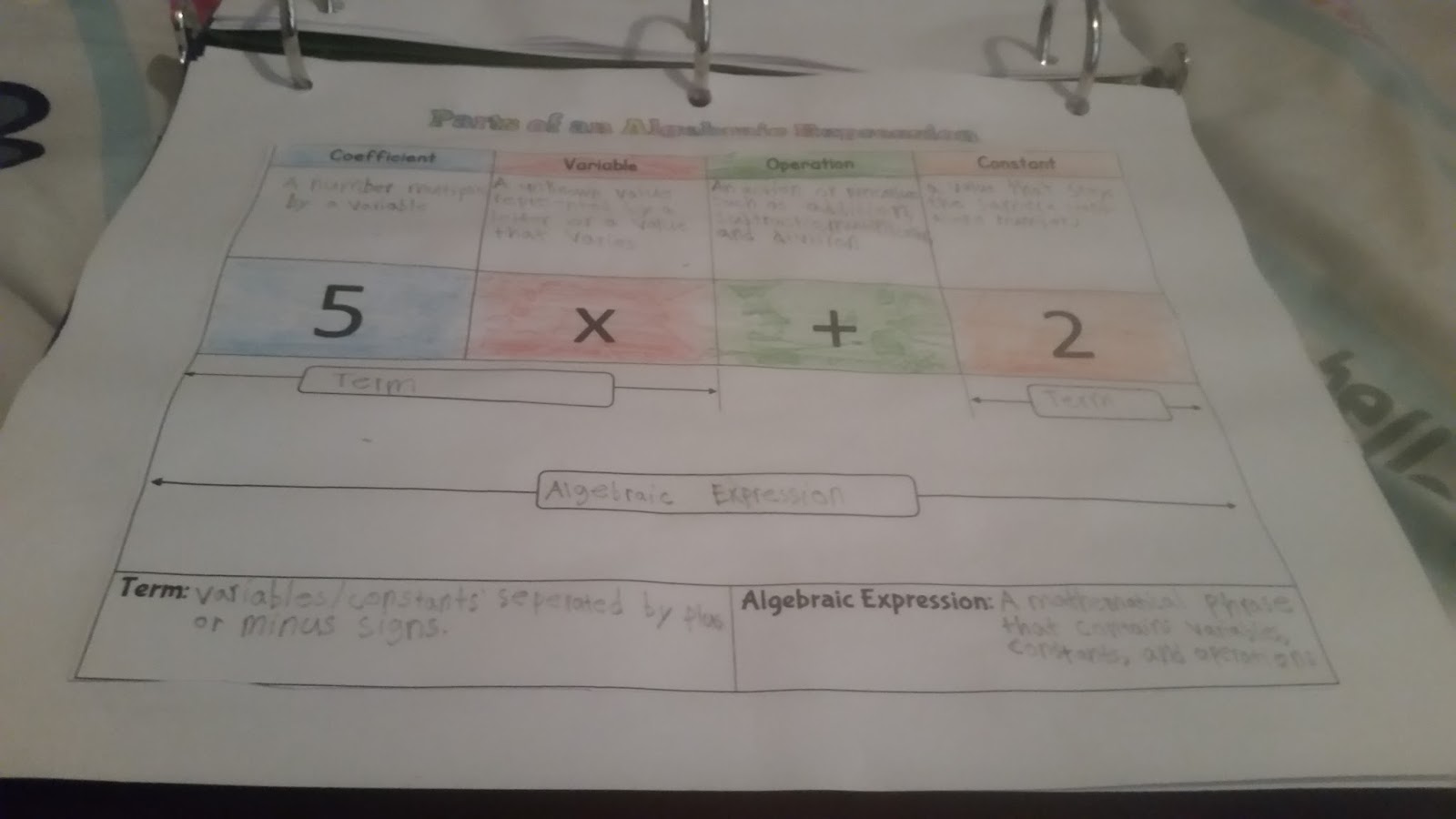 Algebraic Expressions Graphic Organizer | TJ Homeschooling