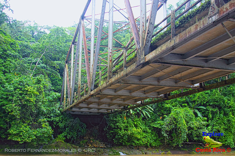 Palenque Margarita -San Rafael de Guatuso, Alajuela- | Explore Costa Rica