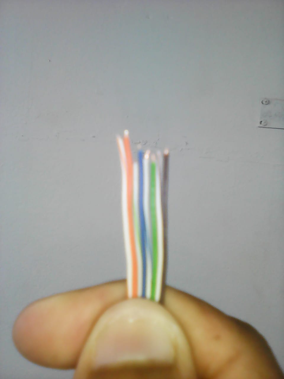 cable de red directo