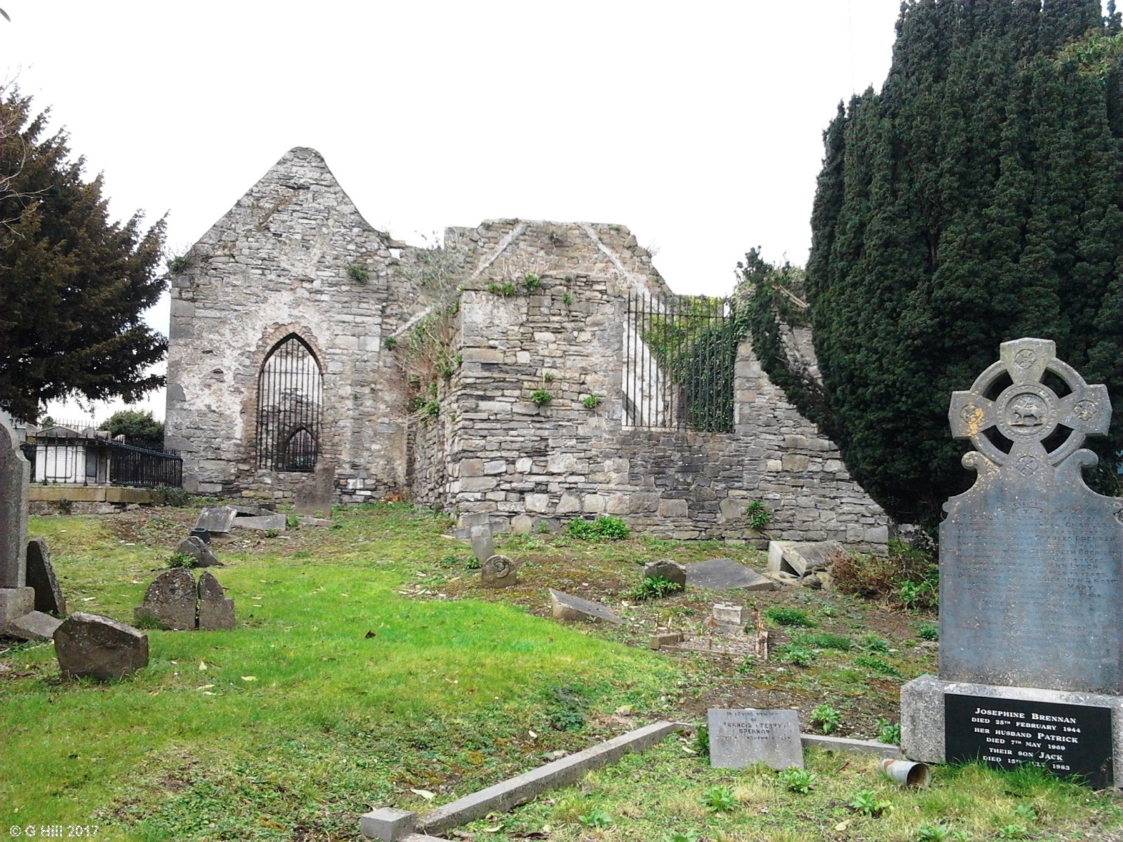 Ireland In Ruins: Finglas Abbey Co Dublin