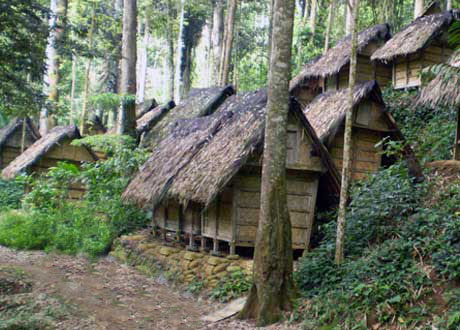 Gema Budaya: Rumah Adat Suku Baduy