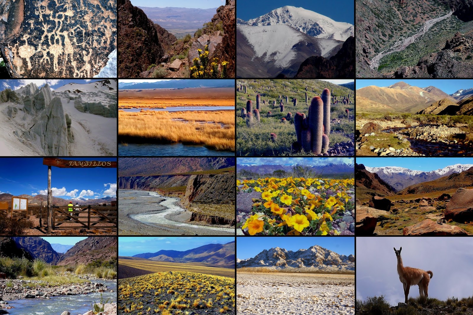 PROYECTO ÁREA NATURAL PROTEGIDA USPALLATA - POLVAREDAS