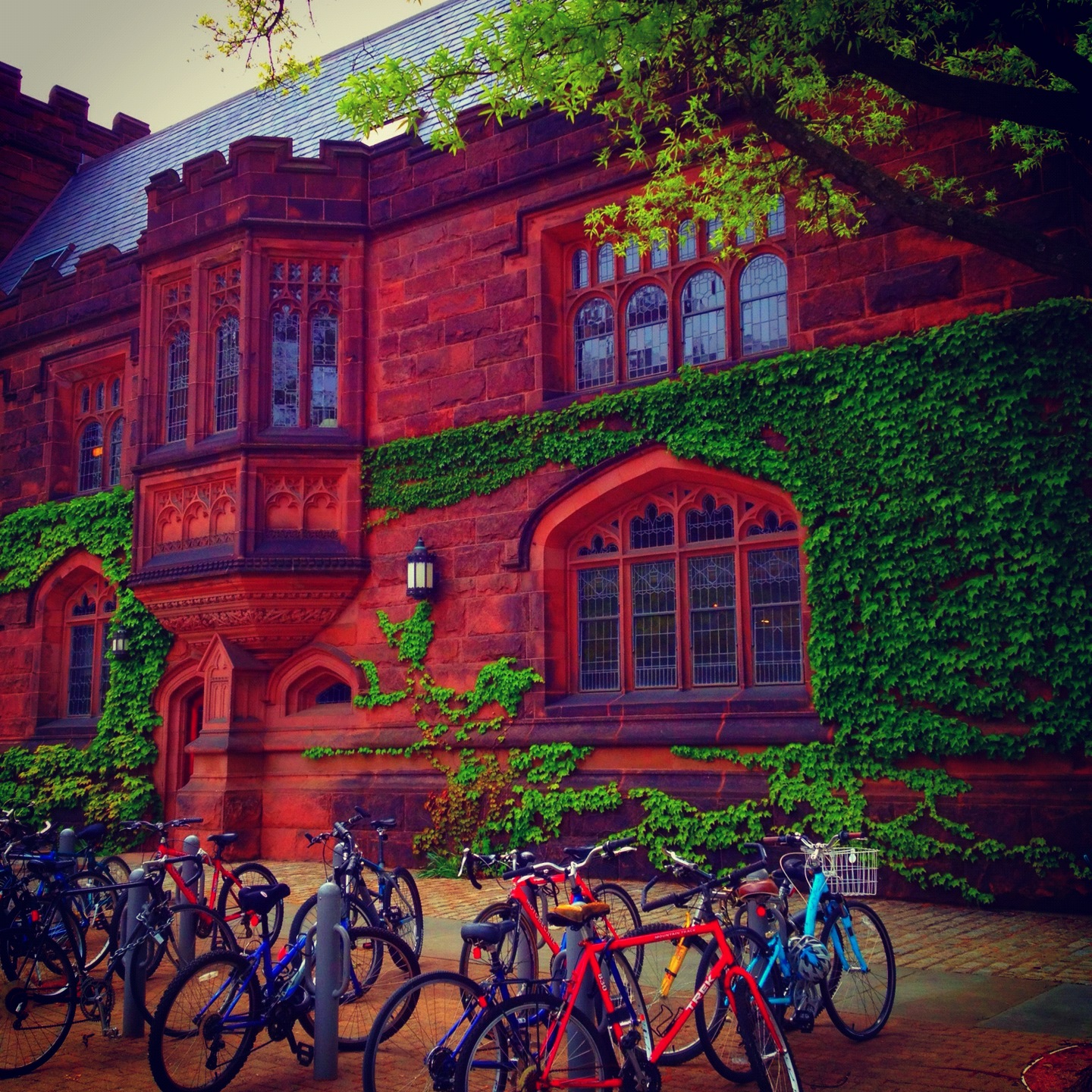 ART SKOOL DAMAGE : Christian Montone: Princeton Communiversity Street Fair