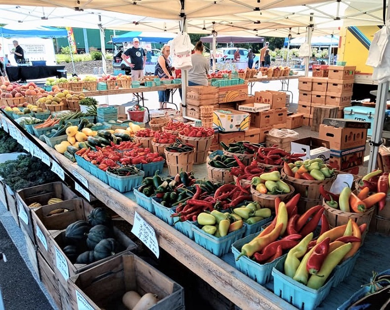 Pennsylvania & Beyond Travel Blog