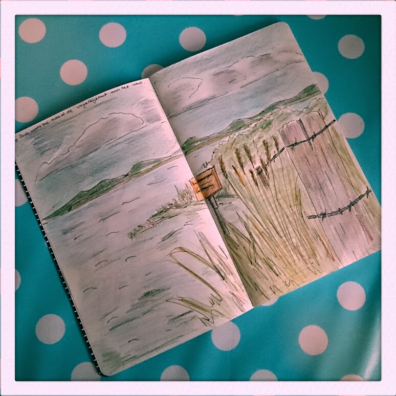 Caatje's Artsy Stuff: Field notes