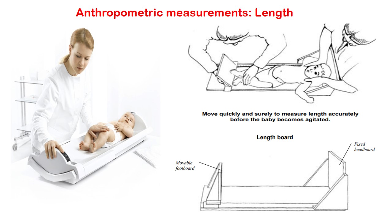 The Family physician : Anthropometric assessments