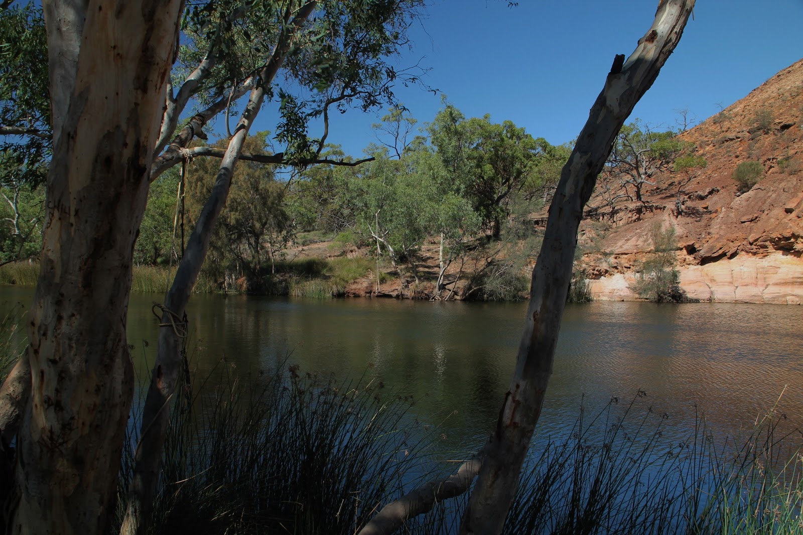 Ellendale Pool and Geraldton