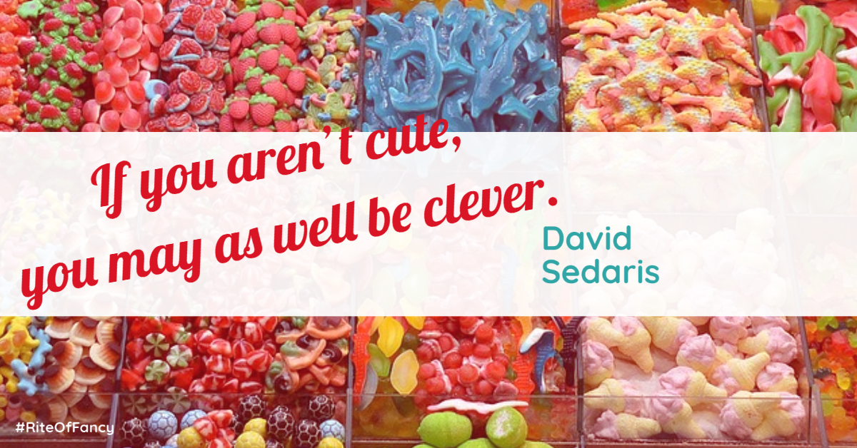 Me Talk Pretty One Day - David Sedaris - A Short Summary & Review