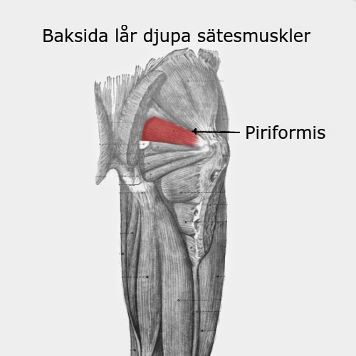 Naprapat David: Ont i ländryggen? Del 5 Stretch av djupa sätesmuskler