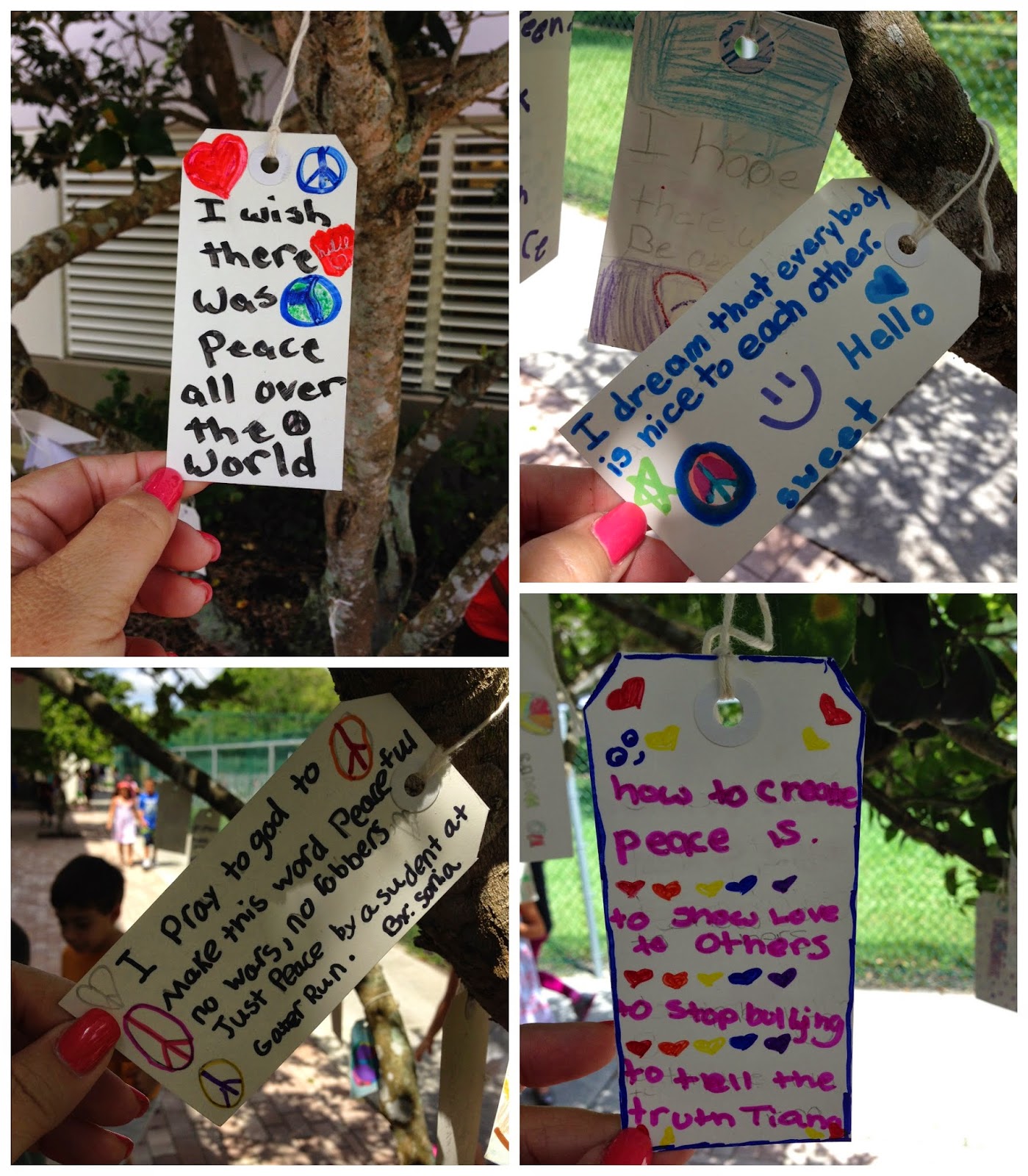 International Day of Peace Idea - Sunny Days in Second Grade