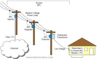 The Pondering Primate