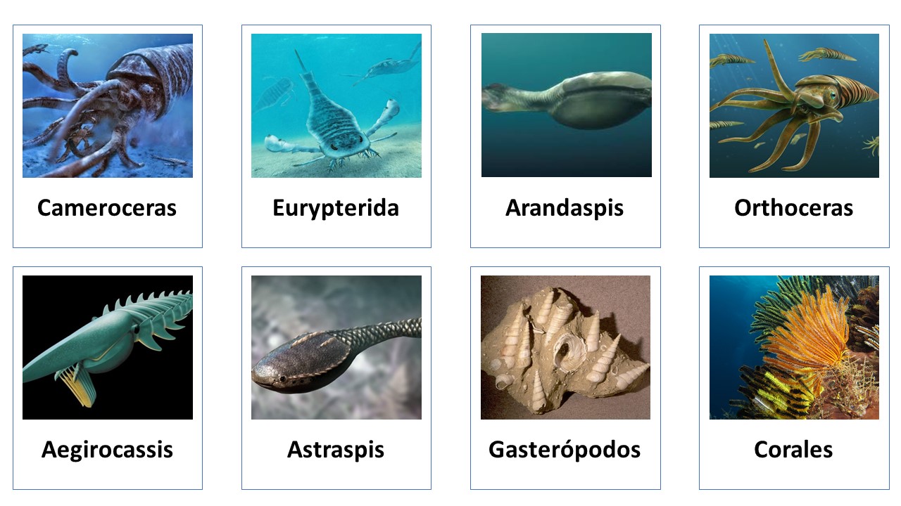 Yacimiento Paleontológico de Murero: LOS TIEMPOS GEOLÓGICOS: LA ERA ...