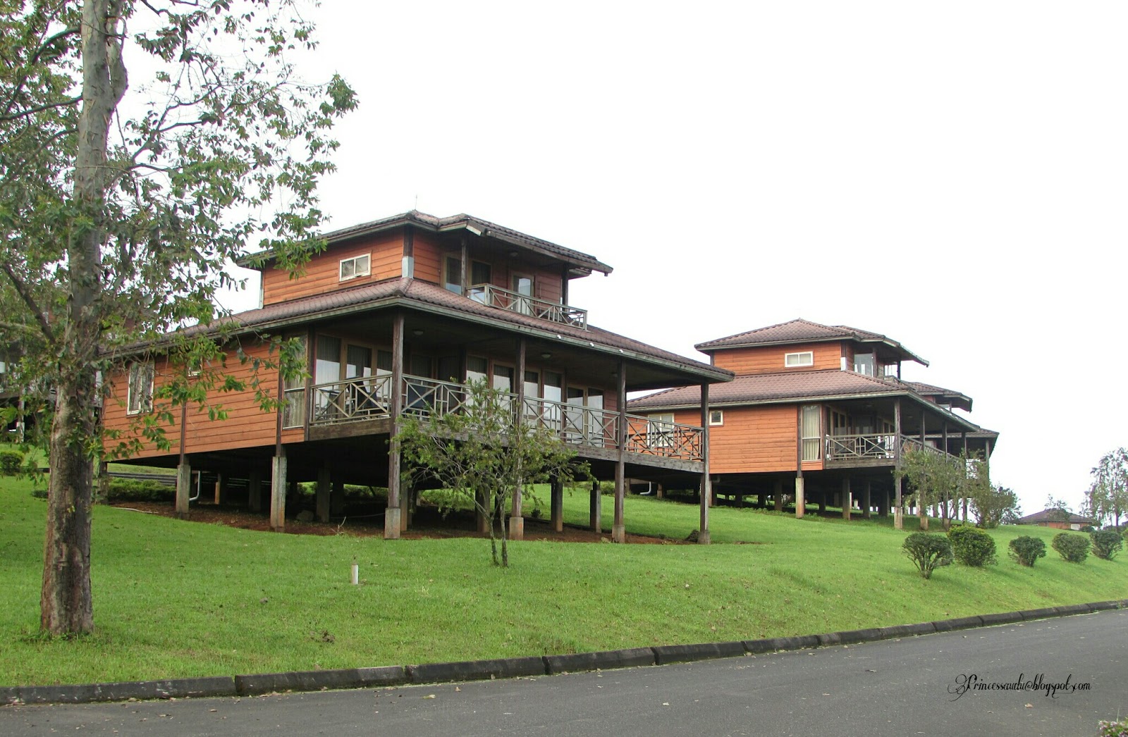 THINGS TO DO IN CROSS RIVER STATE : OBUDU CATTLE RANCH - Princess Audu