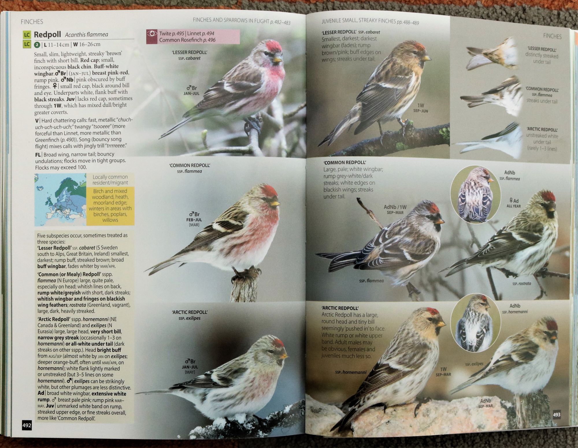Another Bird Blog: Review - Europe’s Birds