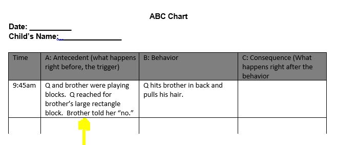 Branch and Blossom Atelier: Using an ABC Chart to Track Behaviors